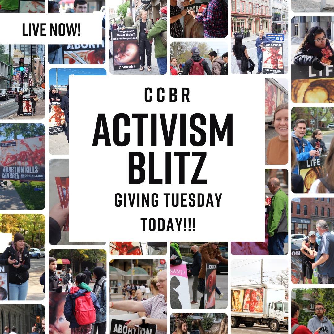 Giving Tuesday!!! Ft. Loretta Slomp - The Pro-Life Guys Podcast