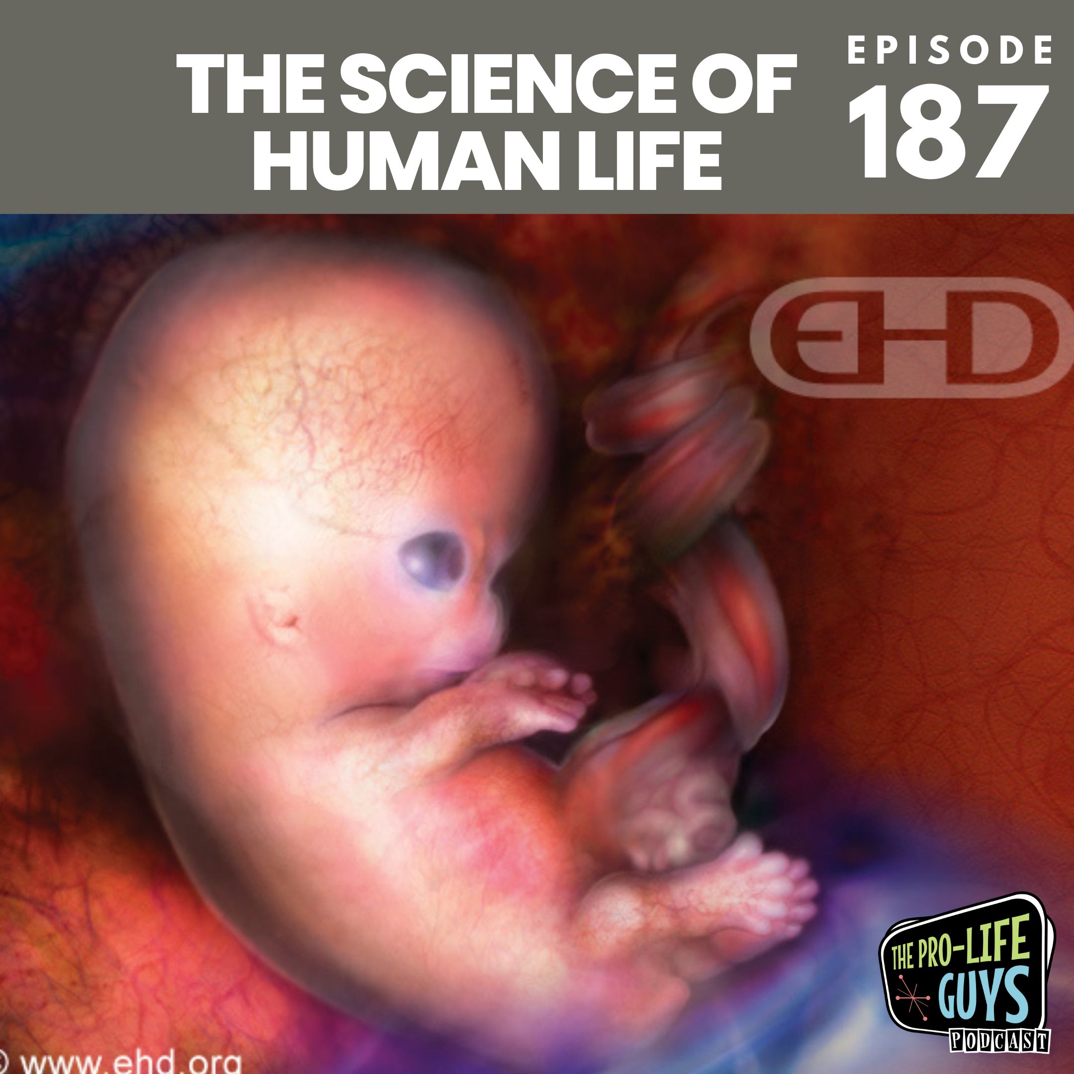 187: How to: Talk About the Science of When Human Life Begins - The Pro ...